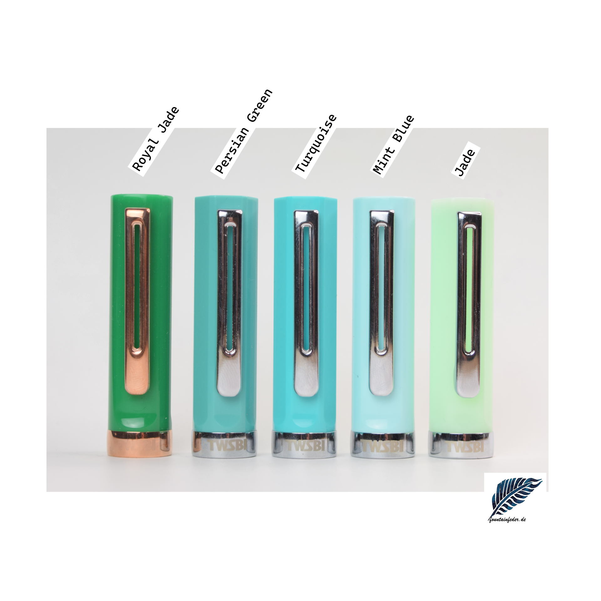 TWSBI Eco Fountain pen